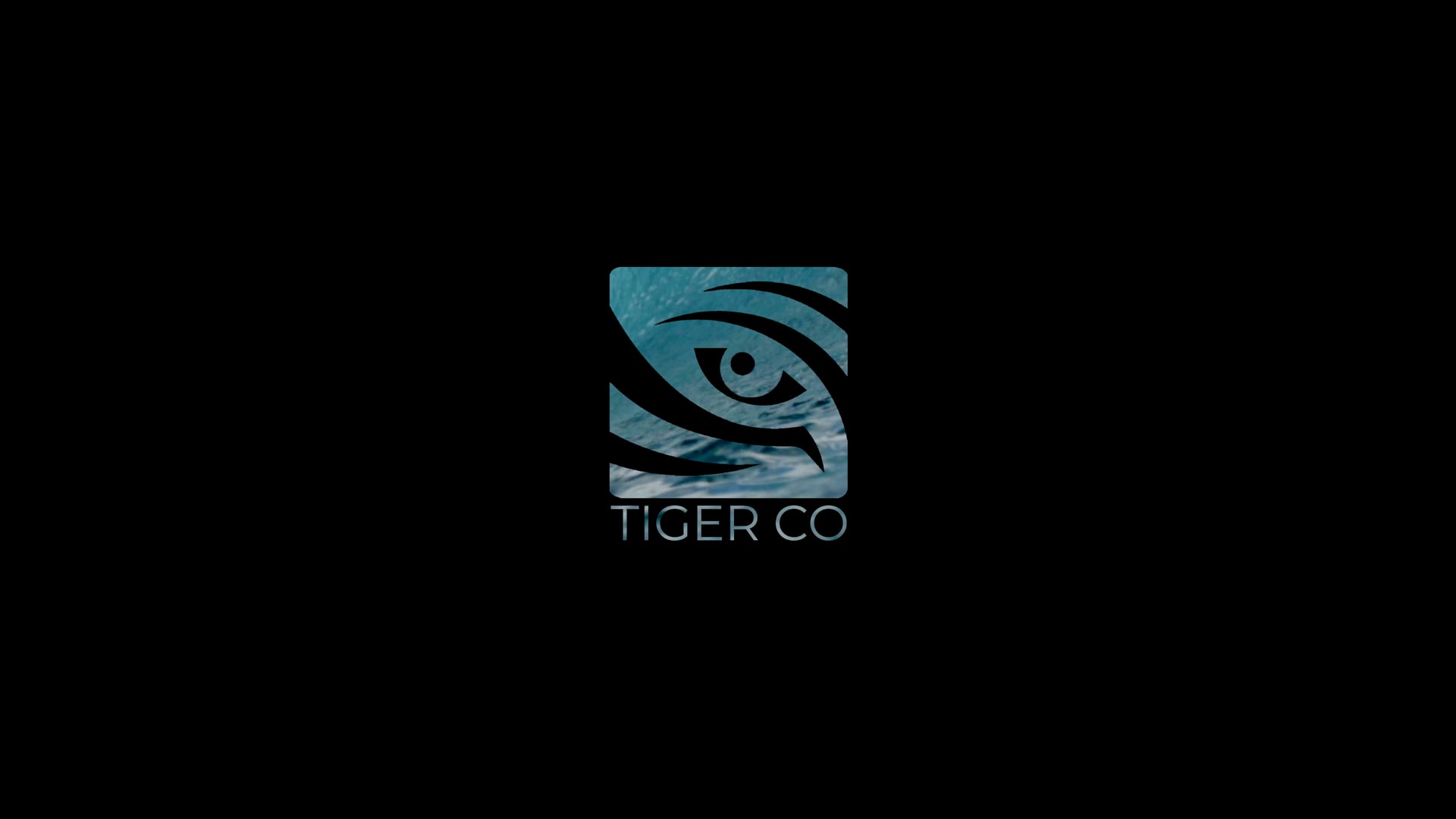 Content Creation and Social Media Marketing | Tiger Co