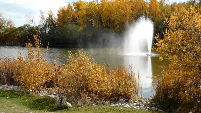 Windy, Day, Water Flows. Free Stock Video - Pixabay