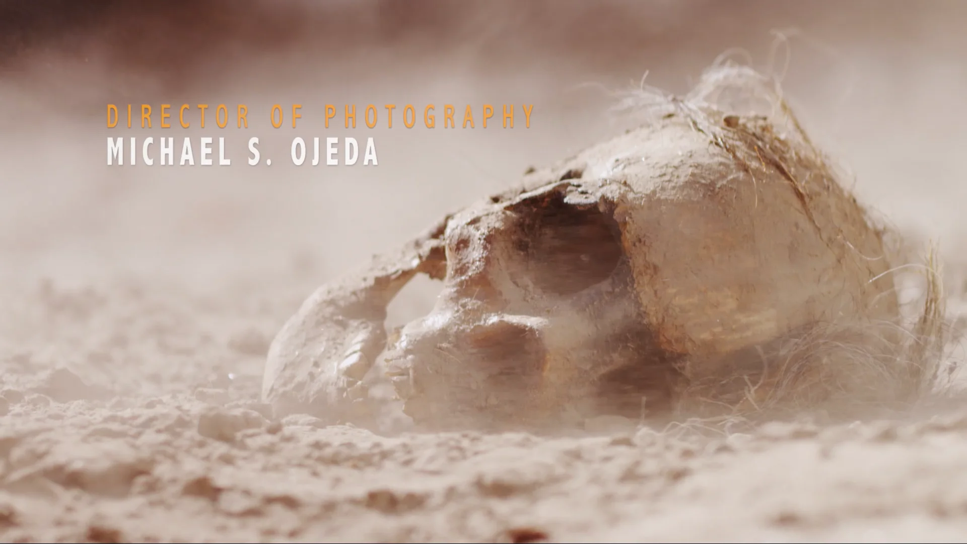 MICHAEL OJEDA_DP REEL