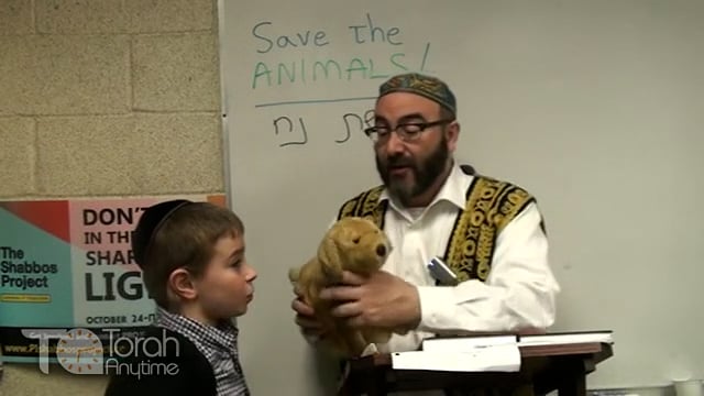 Kids Corner: Show N Tell Animals on Vimeo