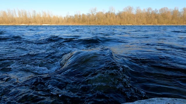 River, Stream, Lake. Free Stock Video - Pixabay