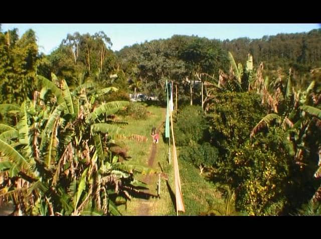 Jasper Hall (short version) on Vimeo