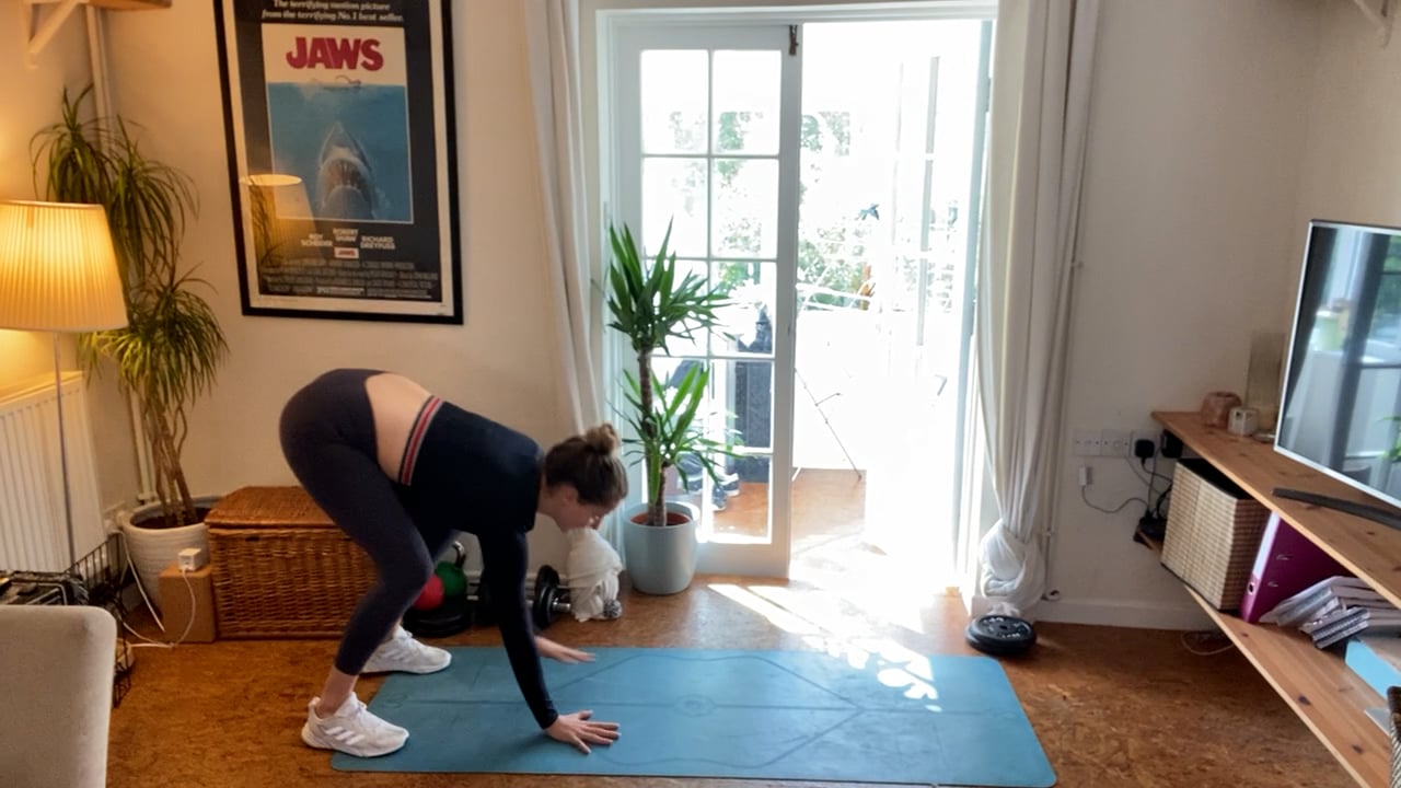 Crawl out Side planks on Vimeo