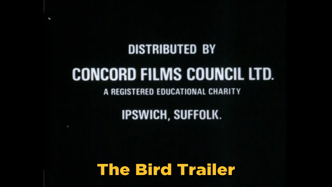 Watch The Bird Online | Vimeo On Demand on Vimeo