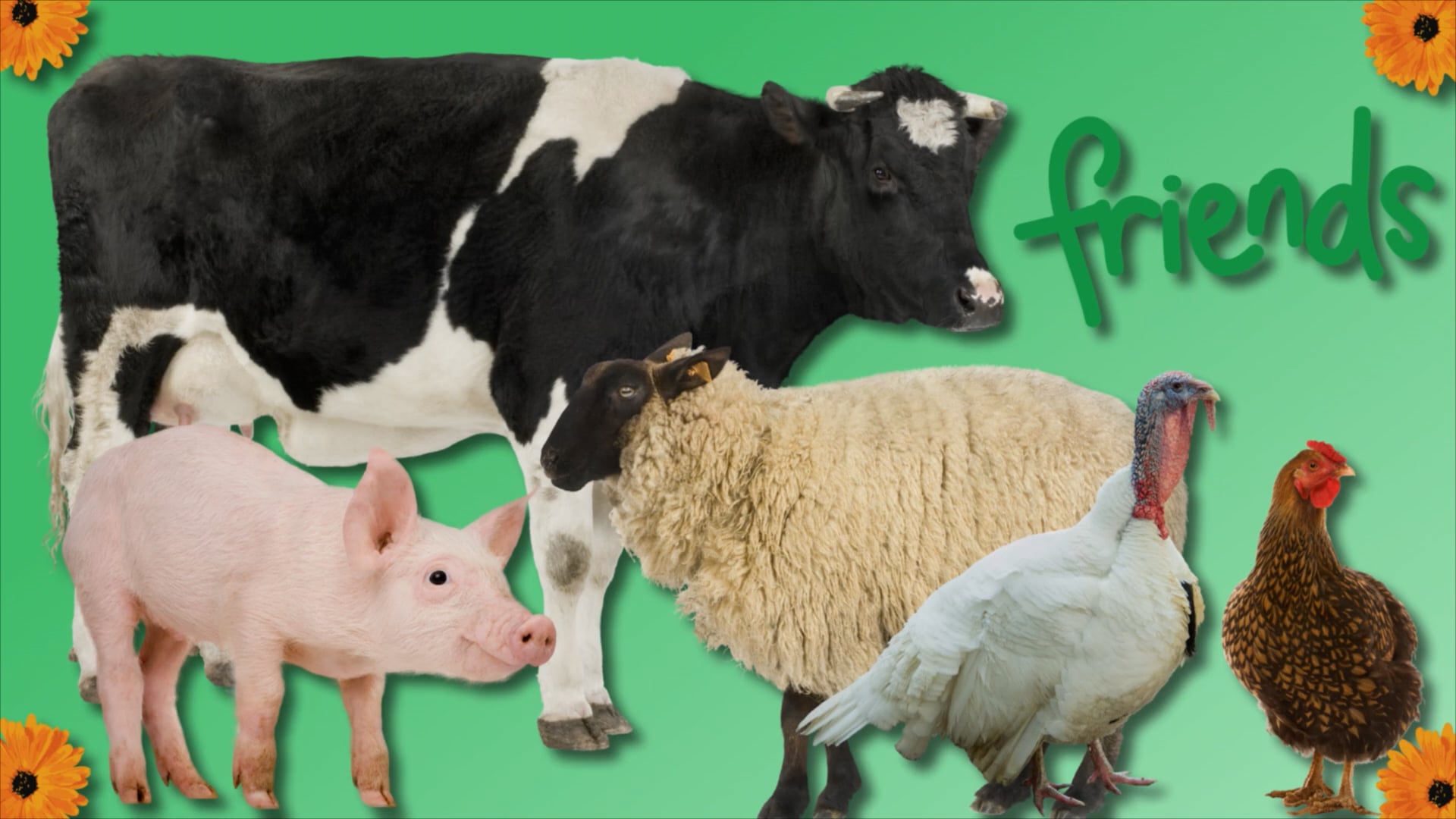 #4 Take Action for Farm Animals on Vimeo