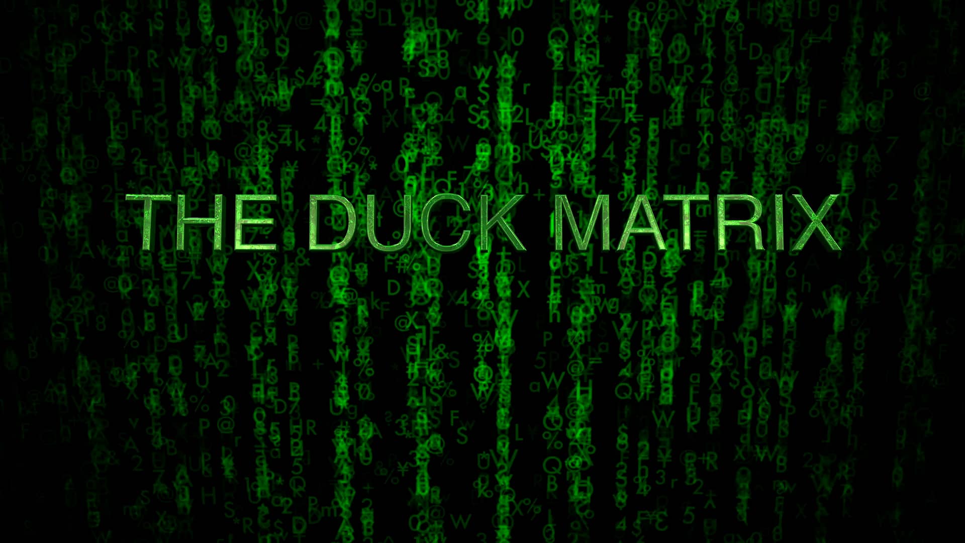 Duck Matrix 2021 Revised on Vimeo