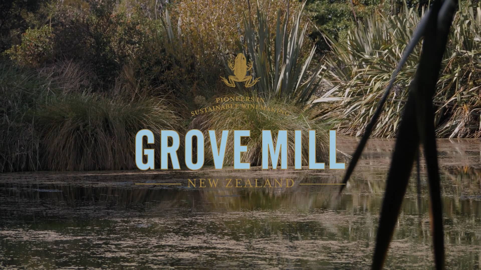 Grove Mill | Wine of Marlborough on Vimeo