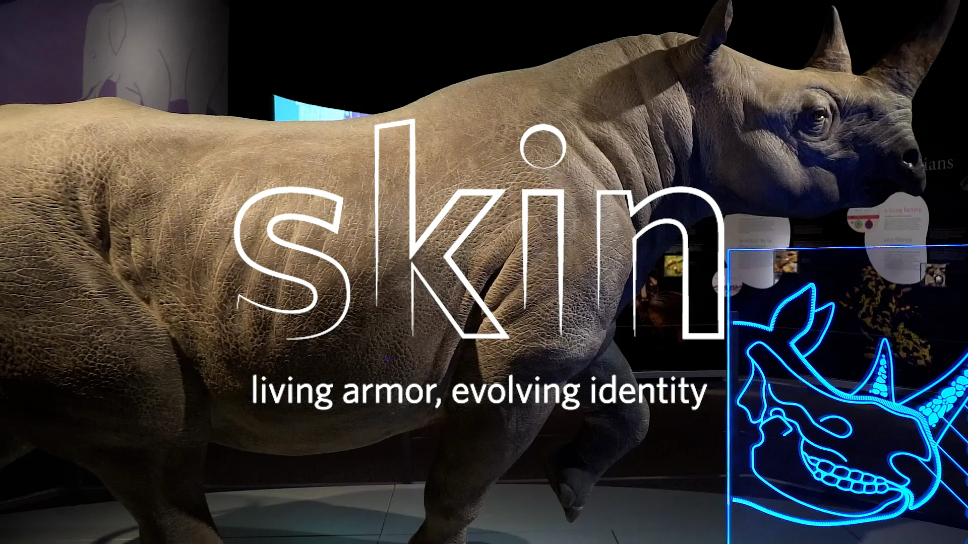 Skin: Living Armor, Evolving Identity Exhibit