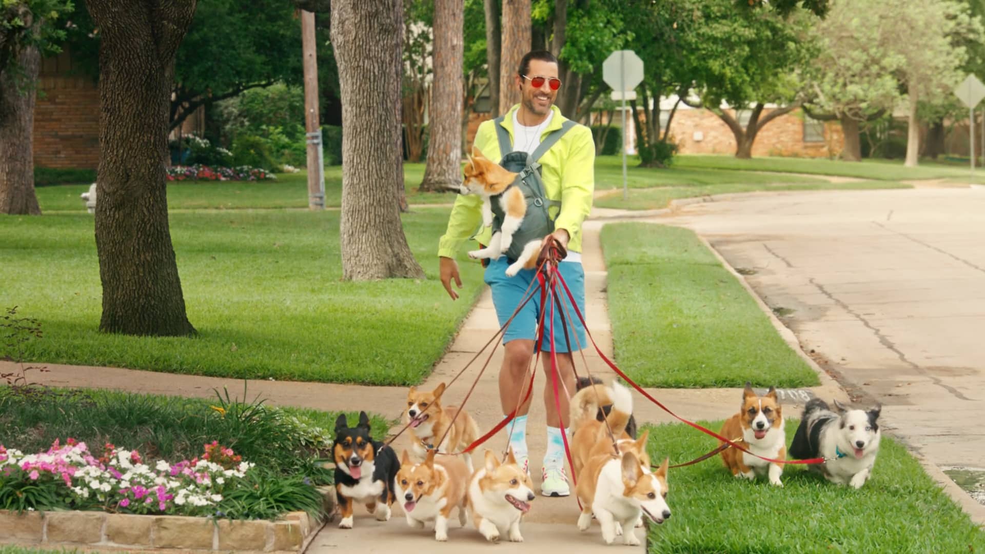 State Farm - Dog Walker starring Aaron Rodgers on Vimeo