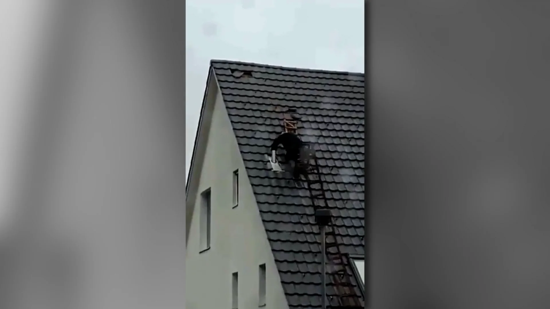 Roofing Video Ads - RF#9 - Roofing Fail Compilation on Vimeo