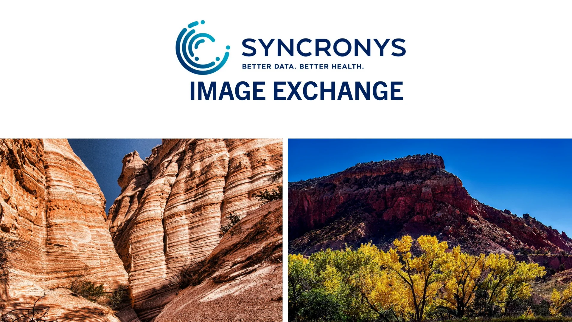 SYNCRONYS Image Exchange Overview (2:56) on Vimeo