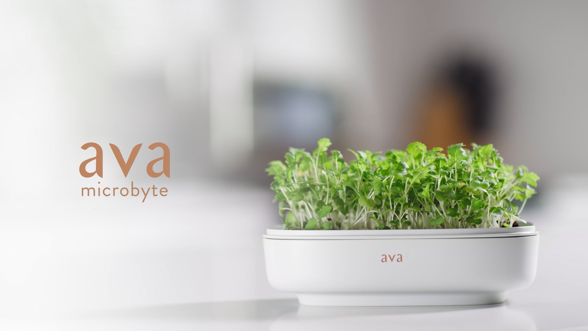 Ava Grows | Microbyte | 1920x1080 on Vimeo