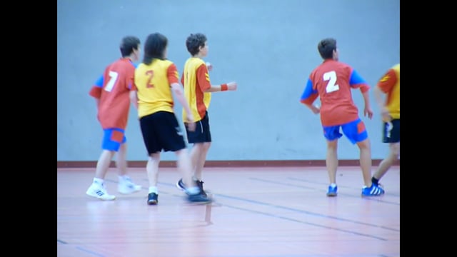 Handball Match Youth Free Stock Video - Pixabay