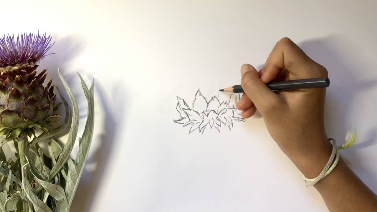 Backwards Forwards Drawing Exercise on Vimeo
