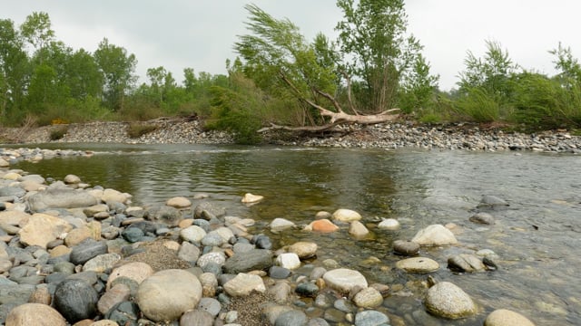 Río Cala Árboles - Free video on Pixabay