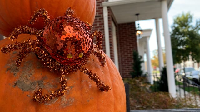 Pumpkin Spider Halloween - Free video on Pixabay