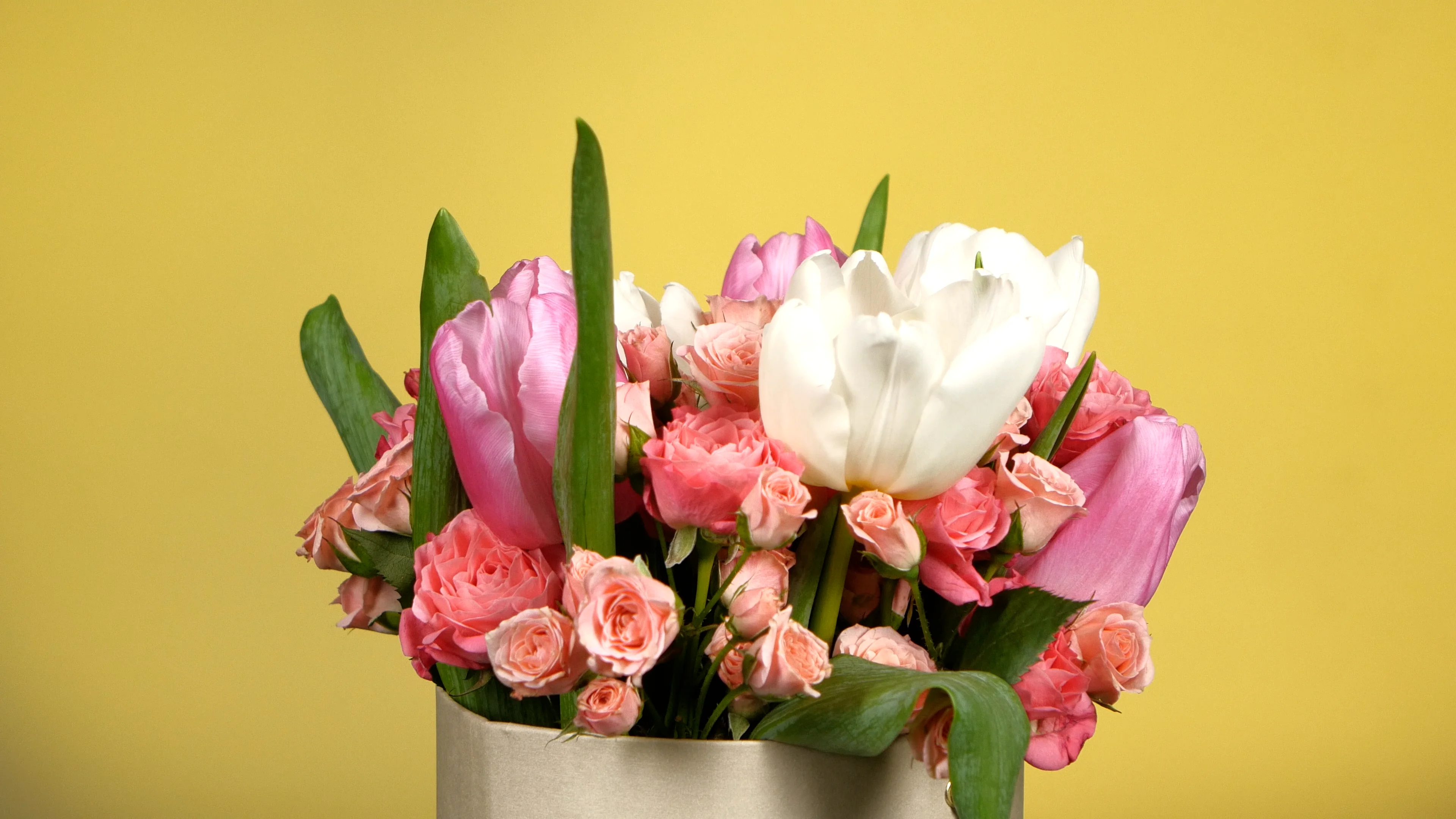 pink flowers.mov on Vimeo
