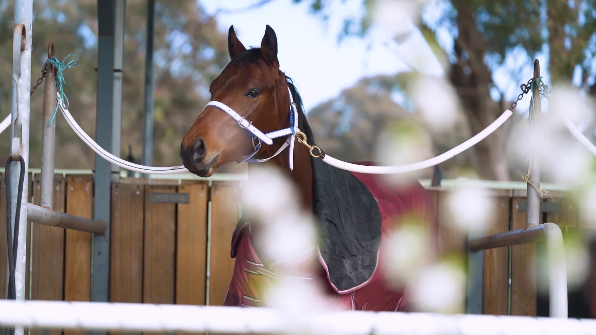 Peter Moffatt - 2021 Inglis Ready2Race