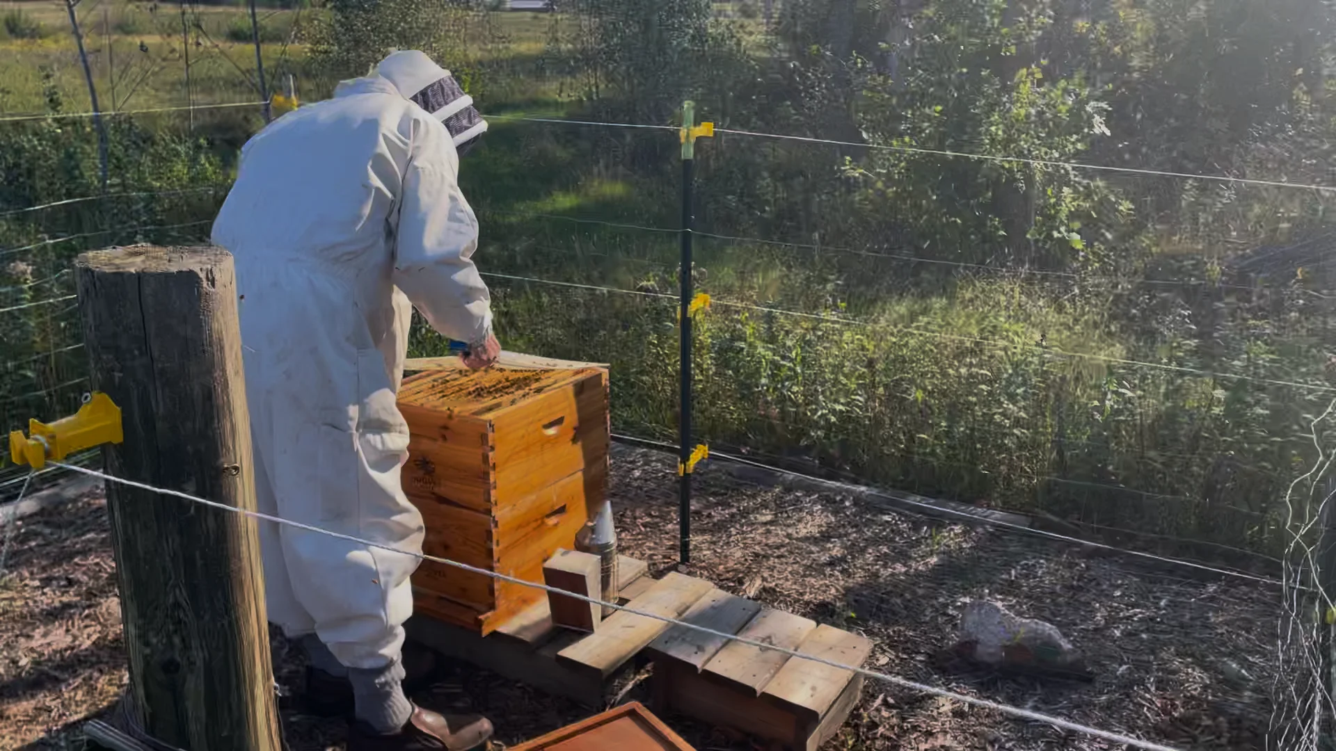 Tim bee inspection on Vimeo