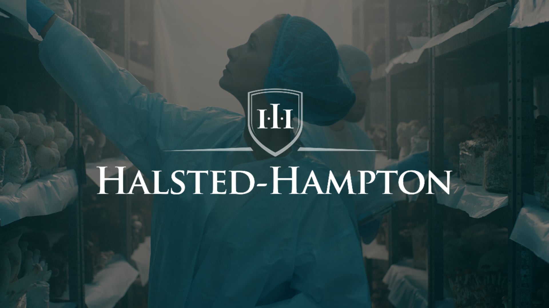Halsted Hampton - Commercial on Vimeo