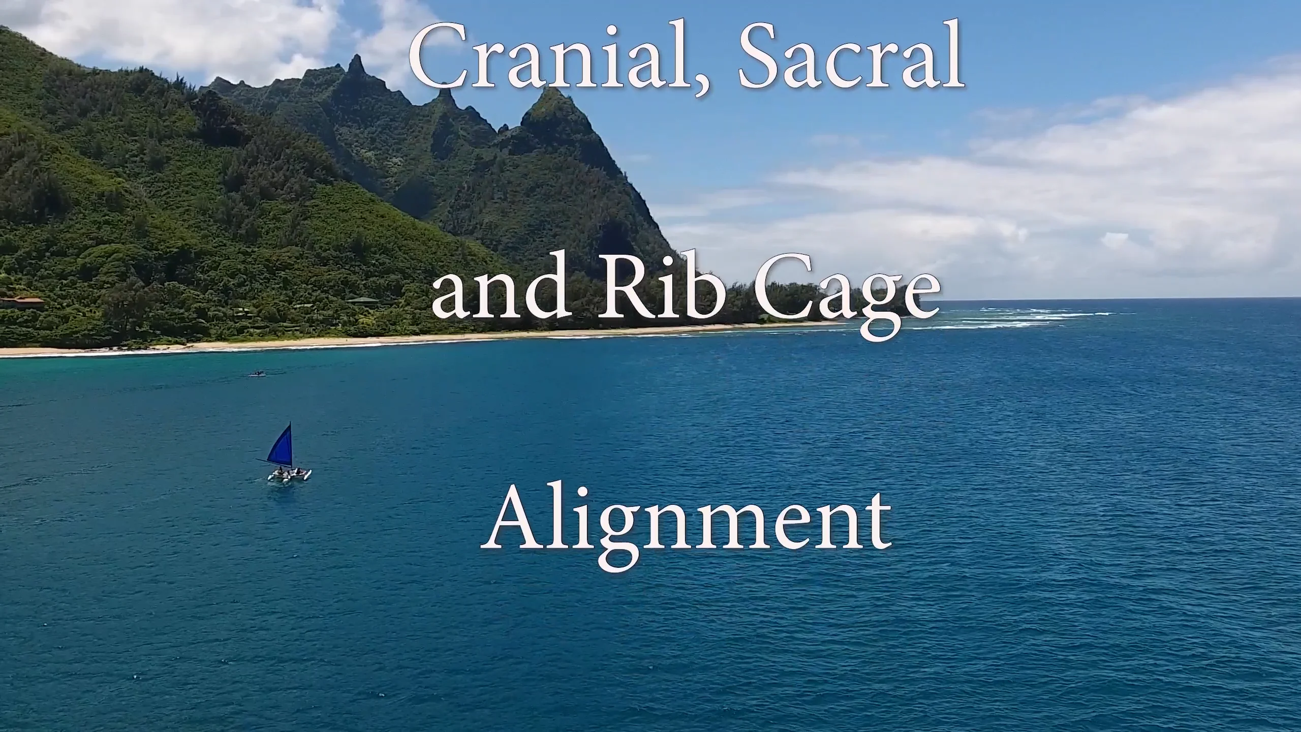 Watch Cranial/Sacral/Rib Cage Alignment Online | Vimeo On Demand on Vimeo
