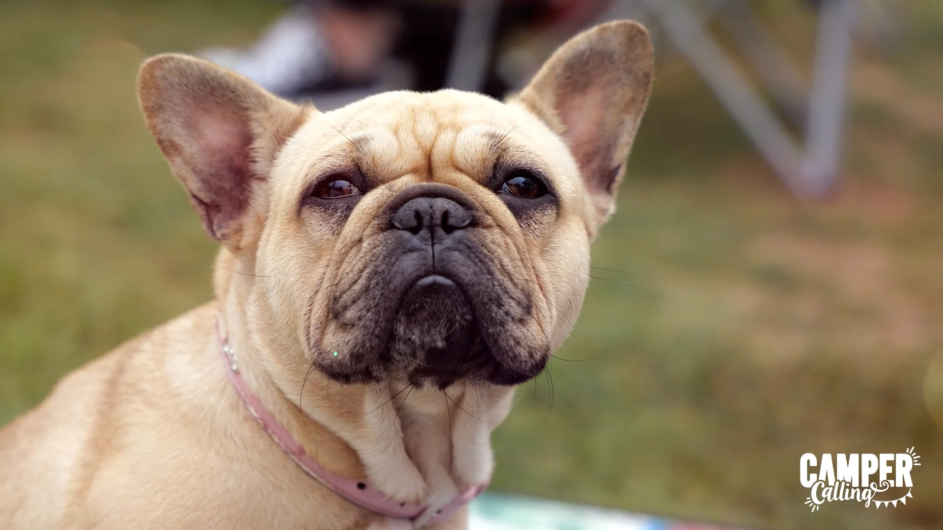 Camper Calling 2021 V2 on Vimeo