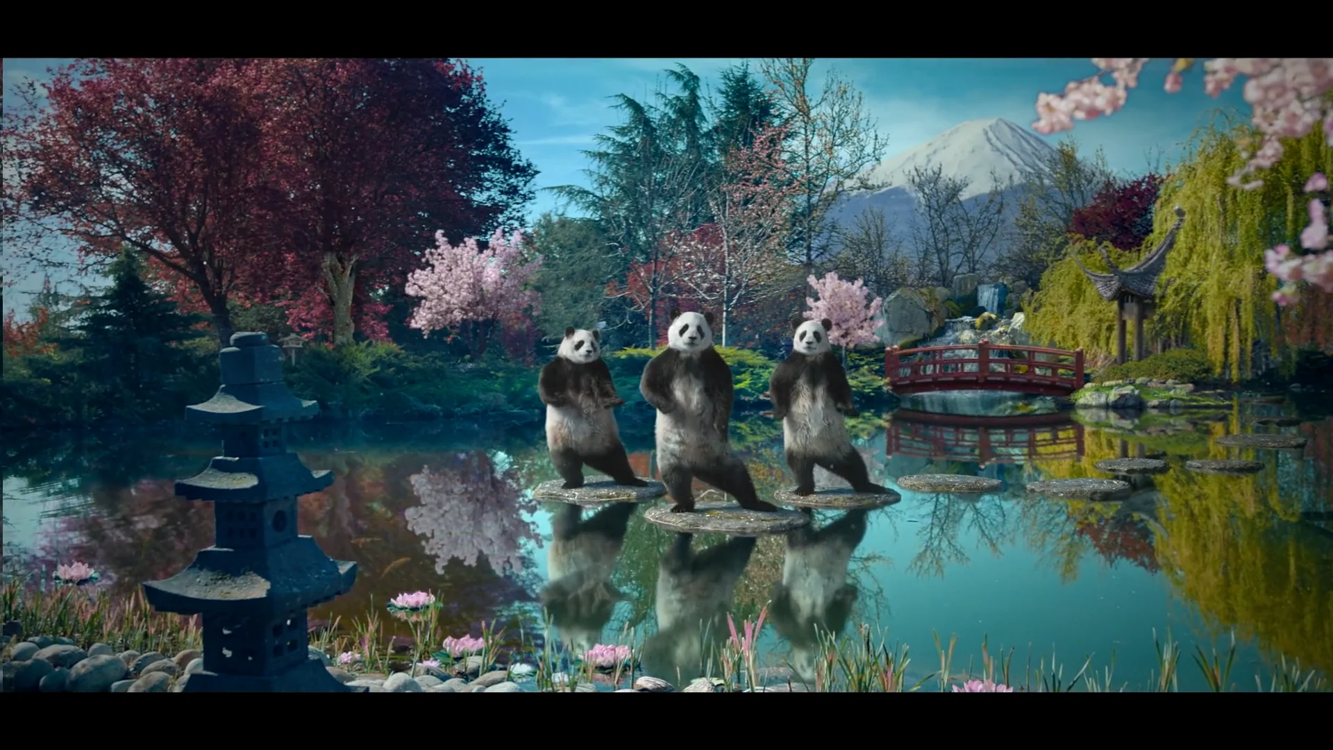 Tim James Brown - Sudocrem_Tai-Chi Pandas on Vimeo