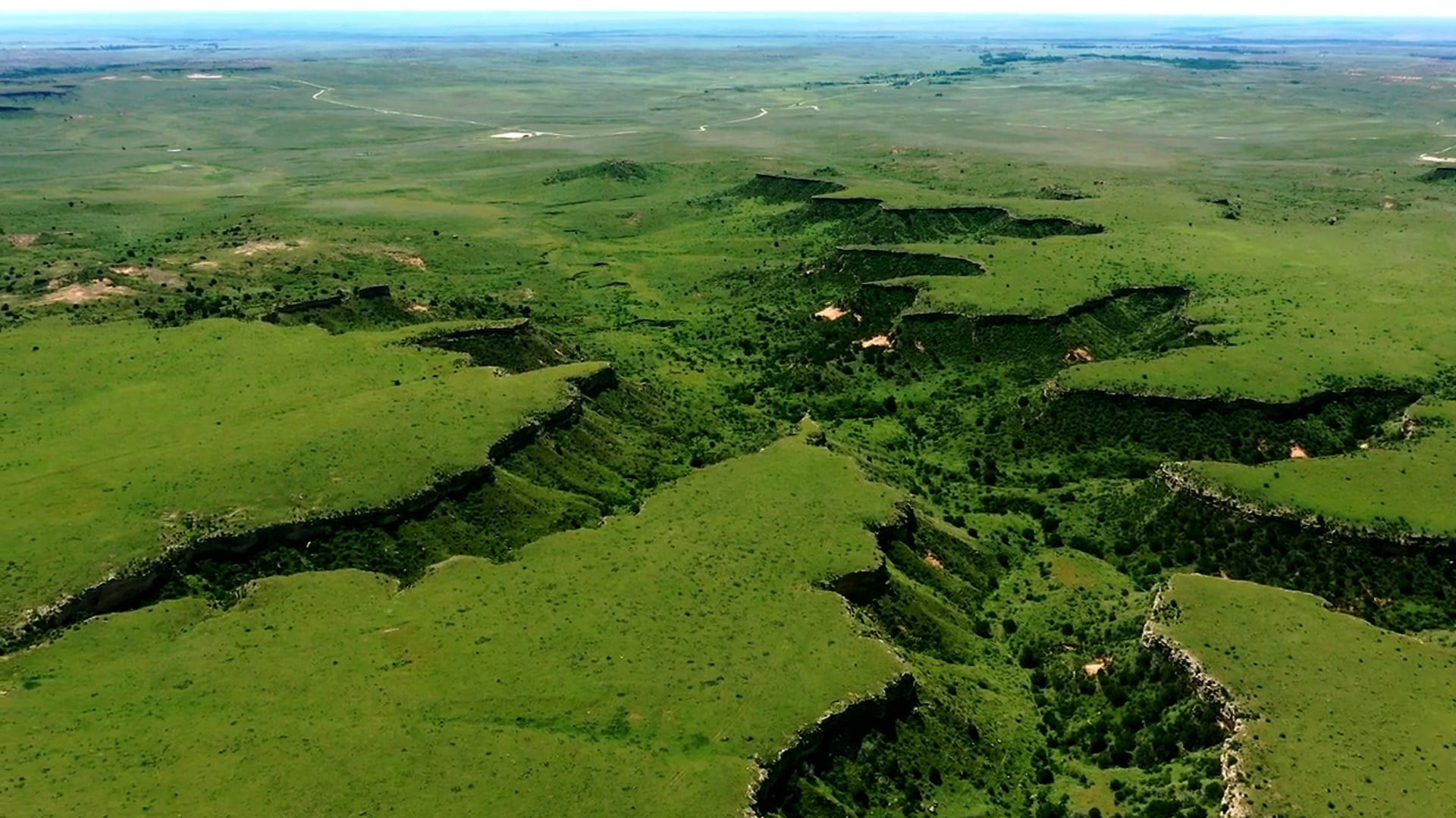 Turkey Track Ranch | Texas Panhandle | Icon Global