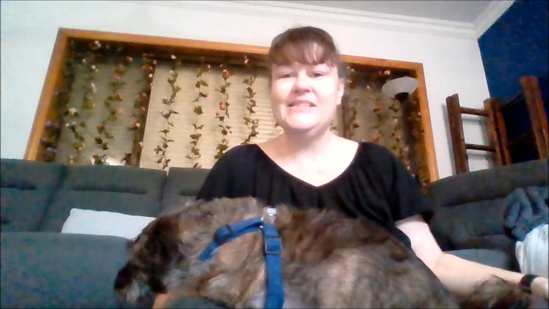 Let's Read with Ms Findlay ~ My Cat Maisie on Vimeo