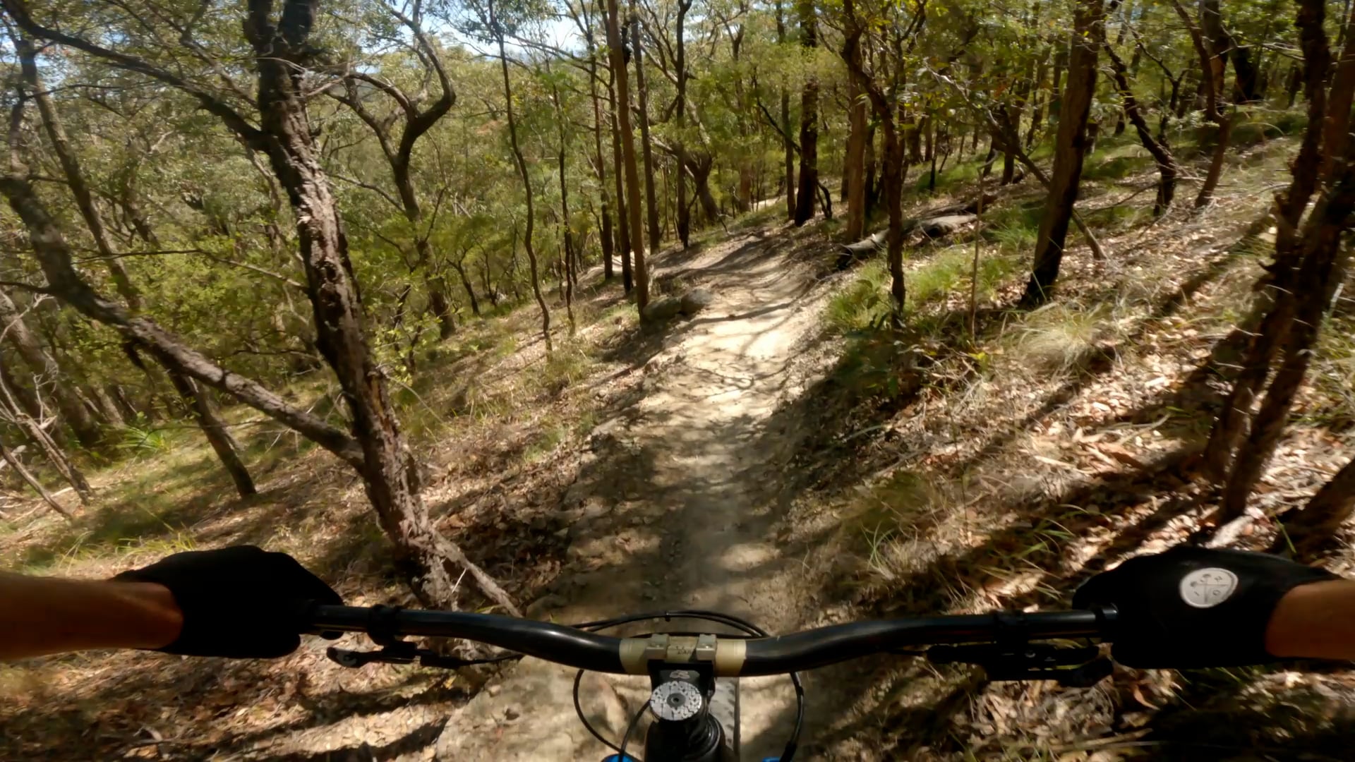 Untitled vimeo on Vimeo