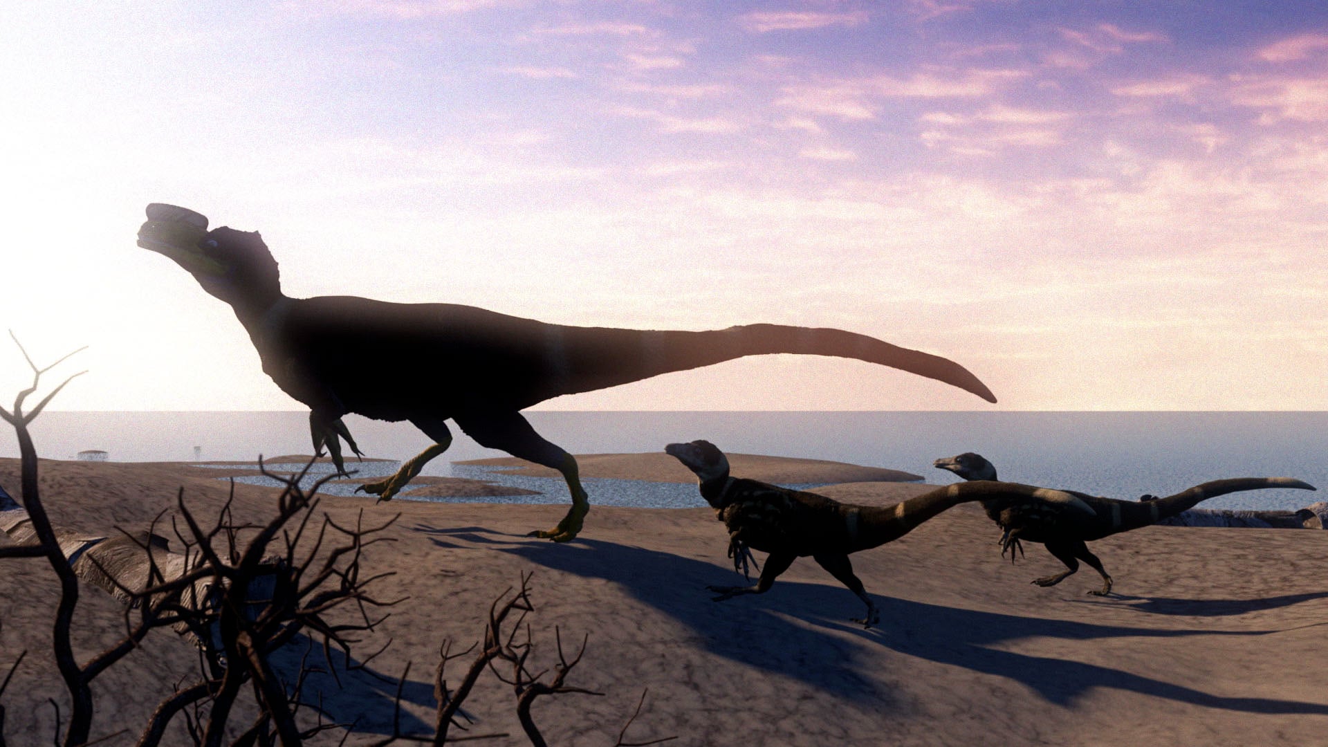 Jurassic Island: Dugald Ross of Staffin on Vimeo