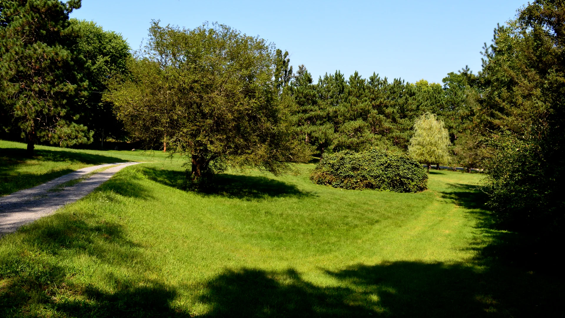 Jeanne Morelli's Rush story on Vimeo