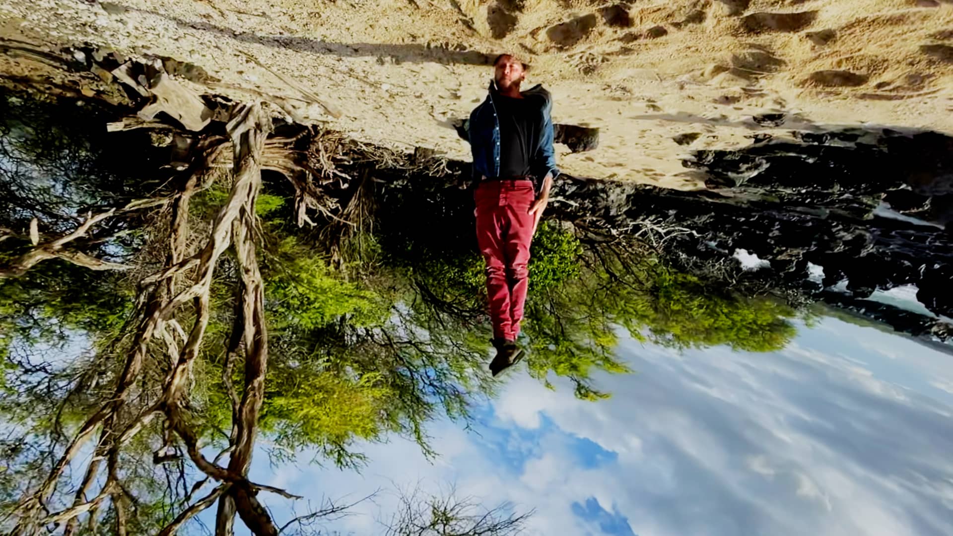 DisInteGrated on Vimeo