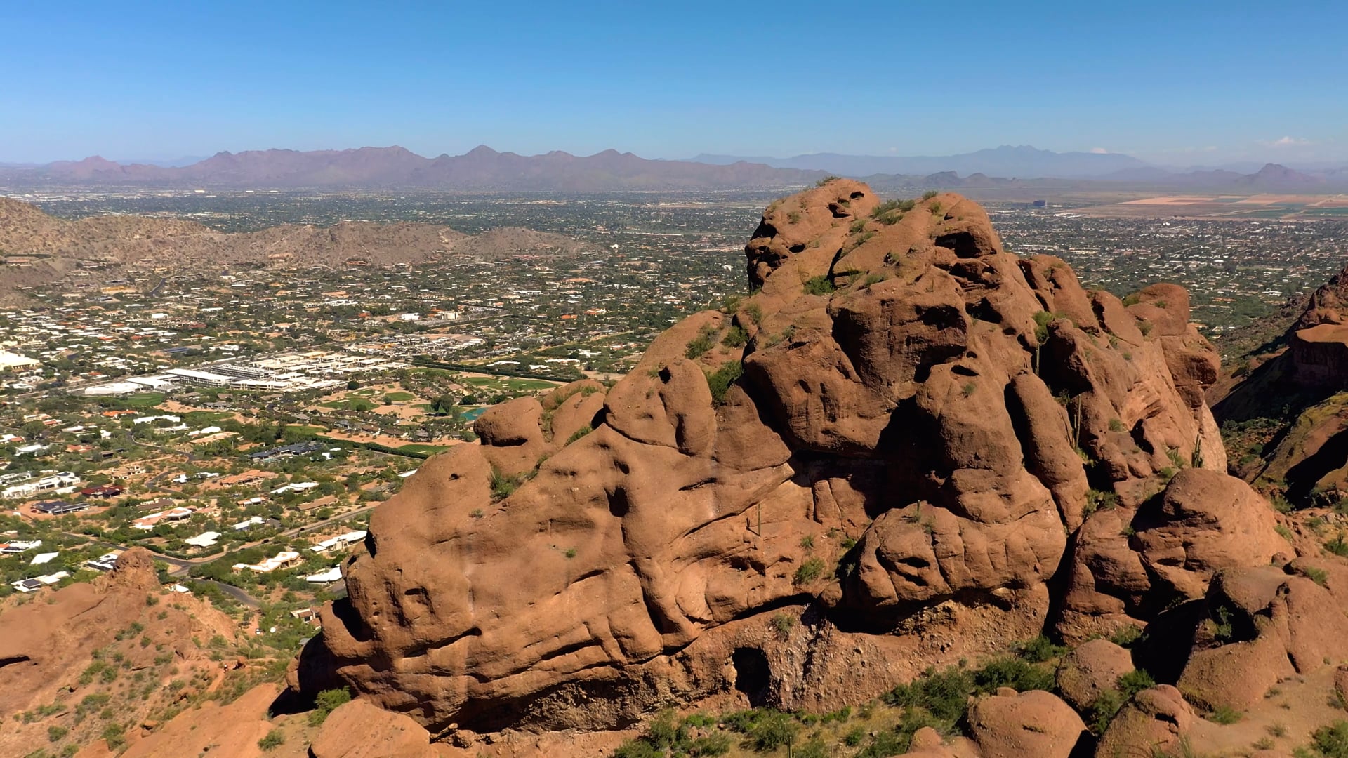 Trusted Professional