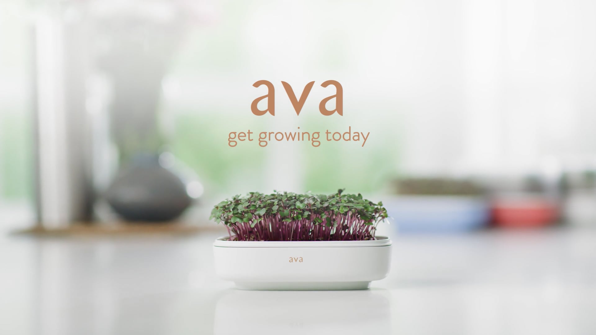 Ava Grows | Microbyte 30s on Vimeo