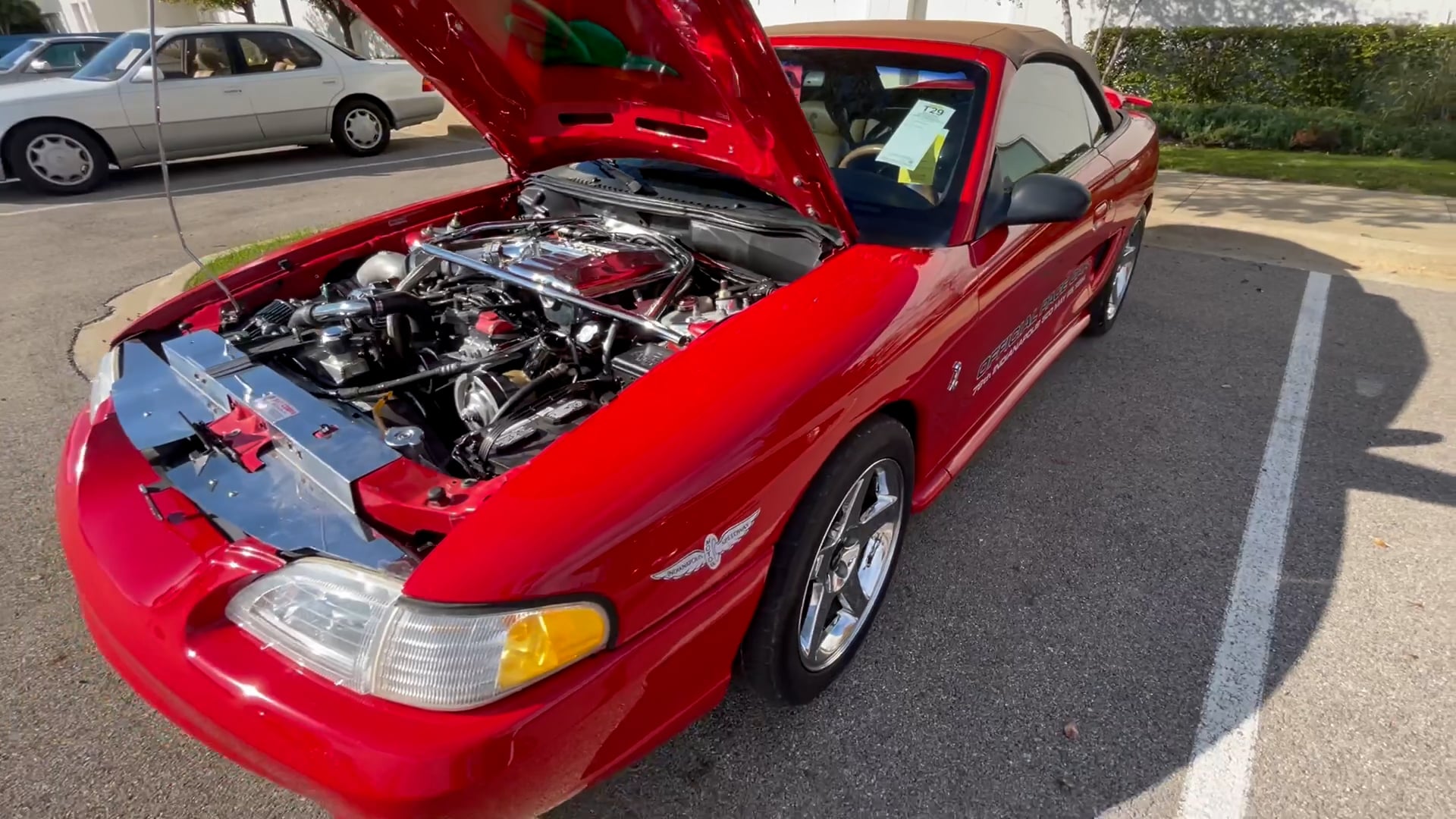 1994 Ford Mustang SVT Cobra Convertible | T29 | Chicago 2021
