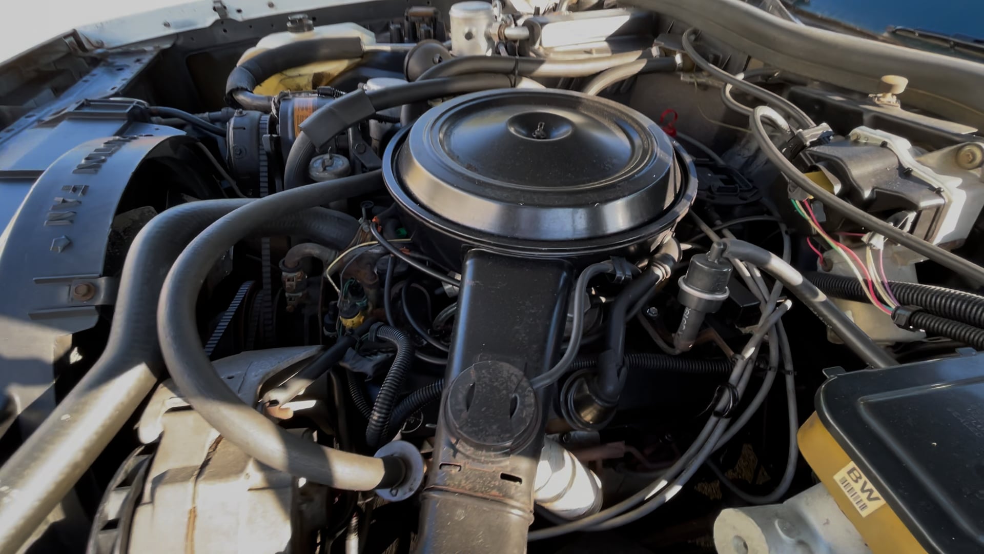 1984 Oldsmobile Delta 88 | T172 | Chicago 2021