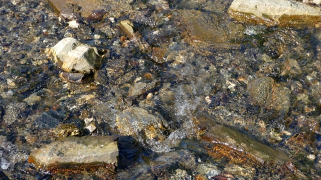 Water Flowing Running - Free video on Pixabay