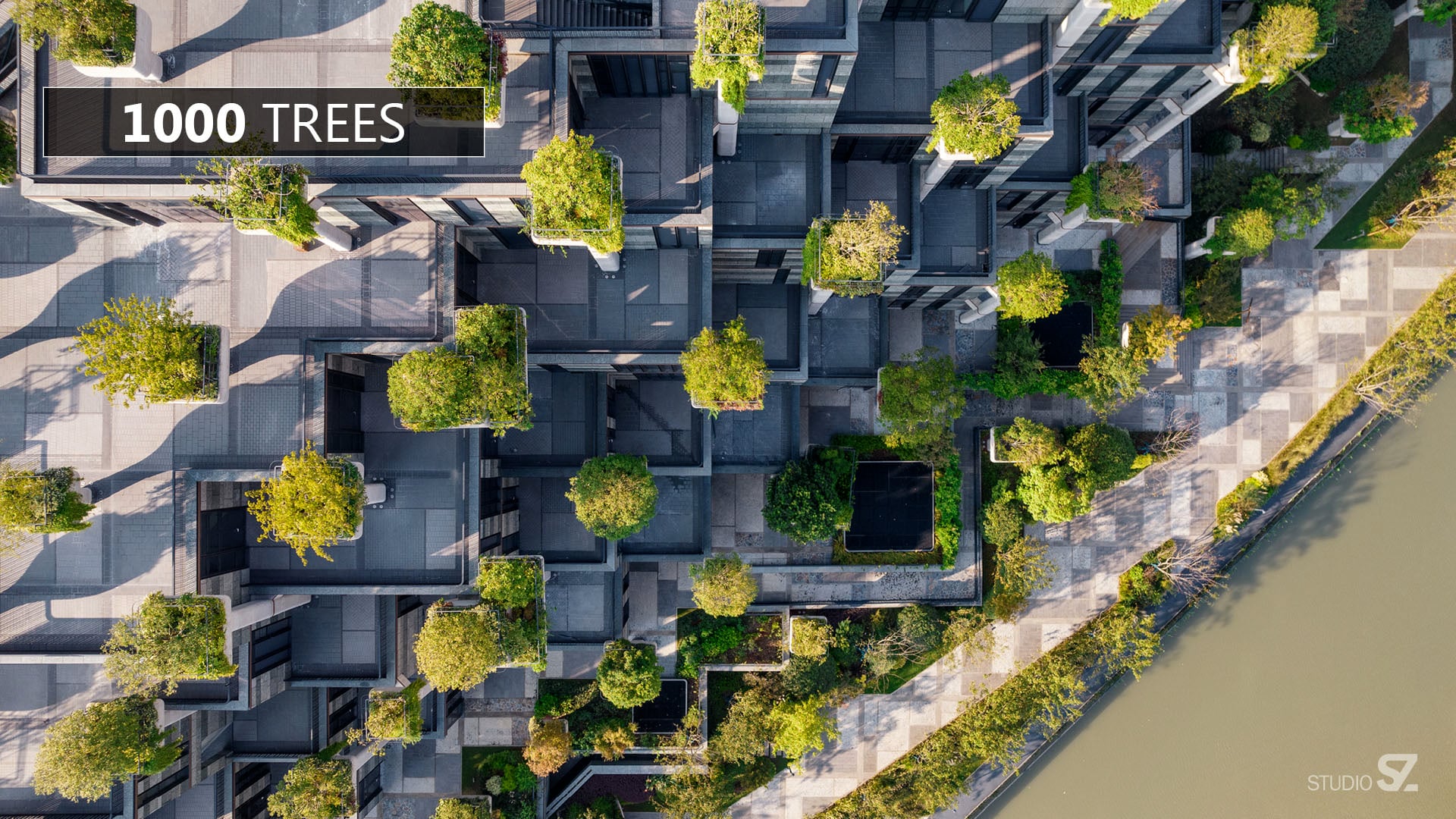 1000 Trees | Heatherwick Studio on Vimeo