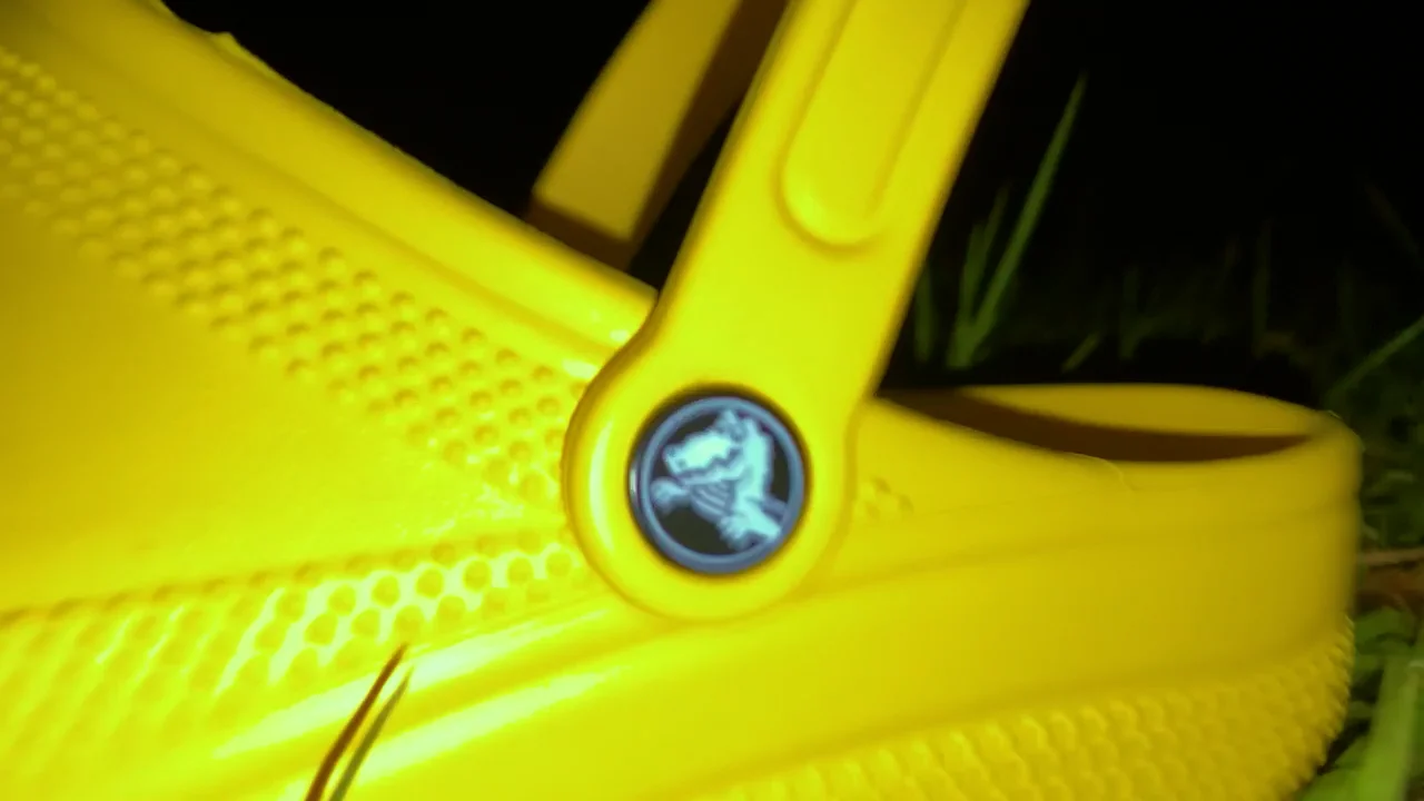 MOUSE LOOKING FOR HIGH CHEESE GARDEN by Nicolas Haeni on Vimeo