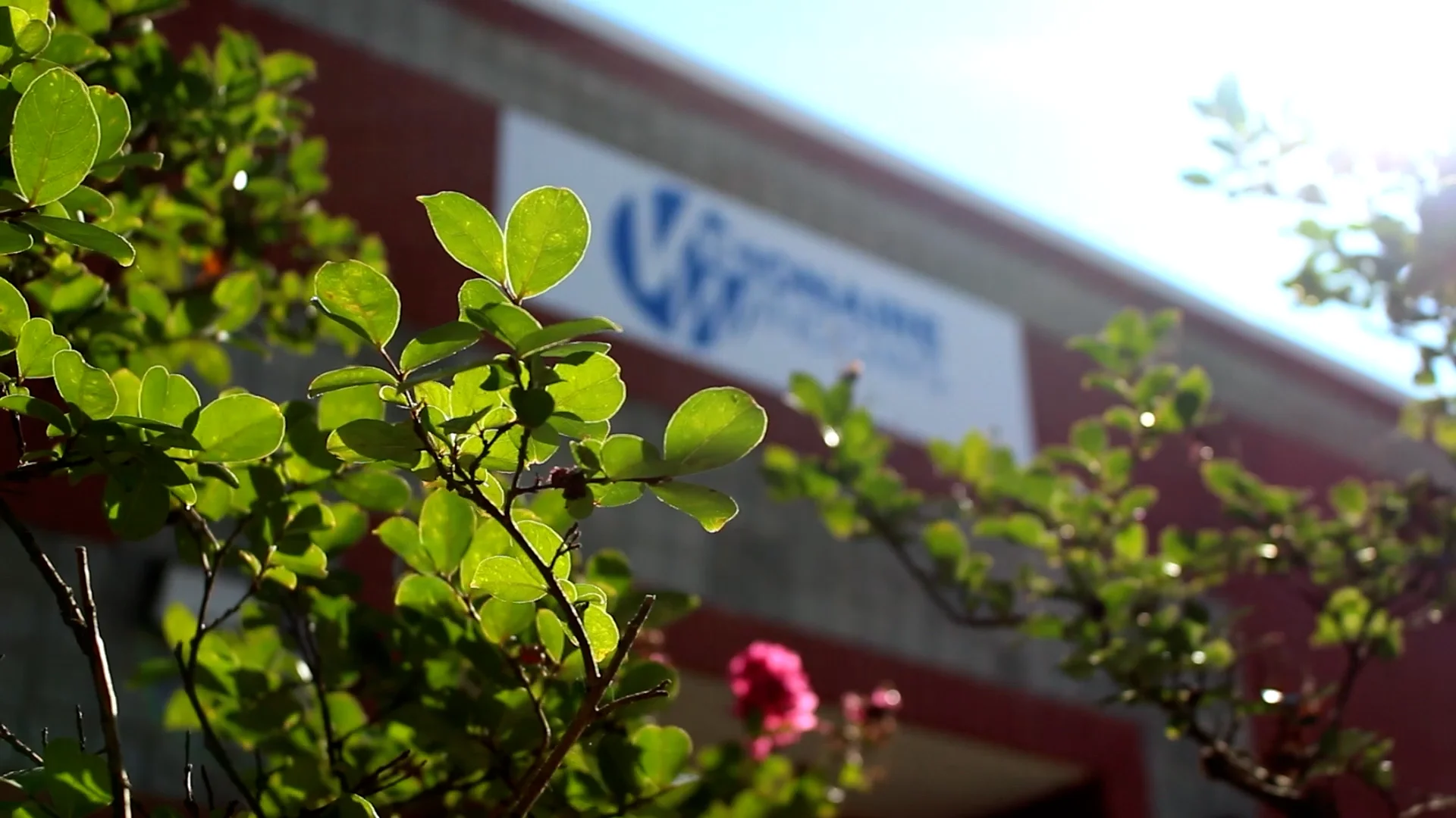 Who We Are - Visionaire Windows on Vimeo