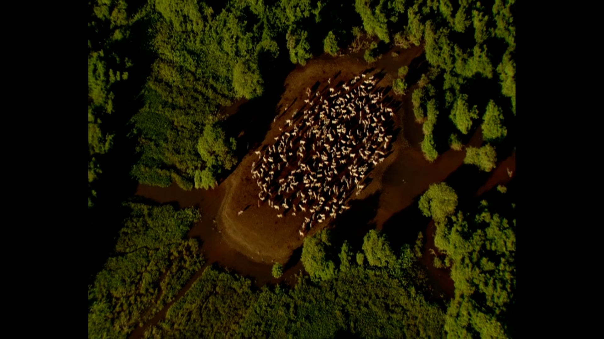 Bande Annonce, Home - Yann Arthus-Bertrand on Vimeo