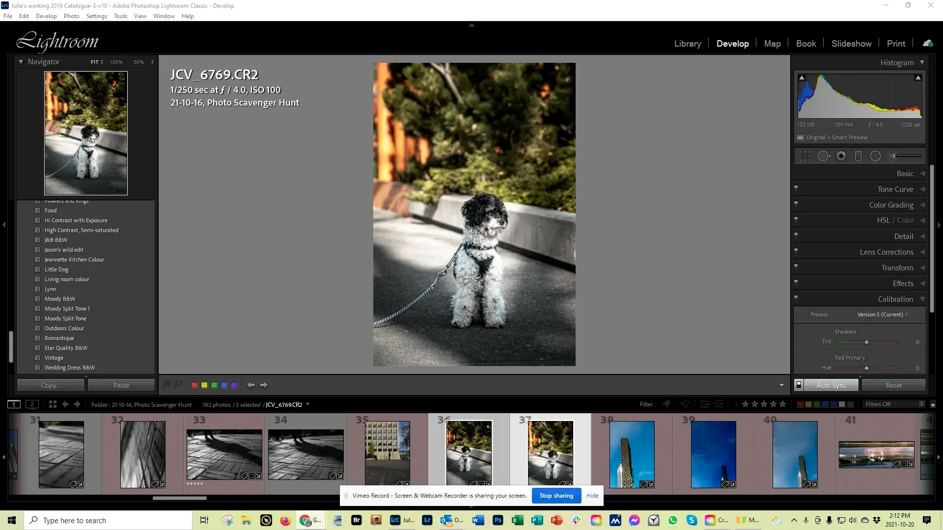 How to Create A Graphical Watermark on Vimeo