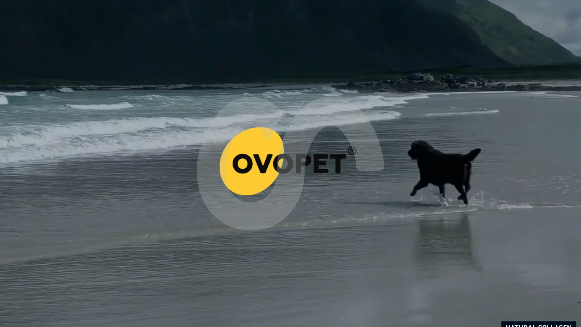 OVOPET JOINTS on Vimeo