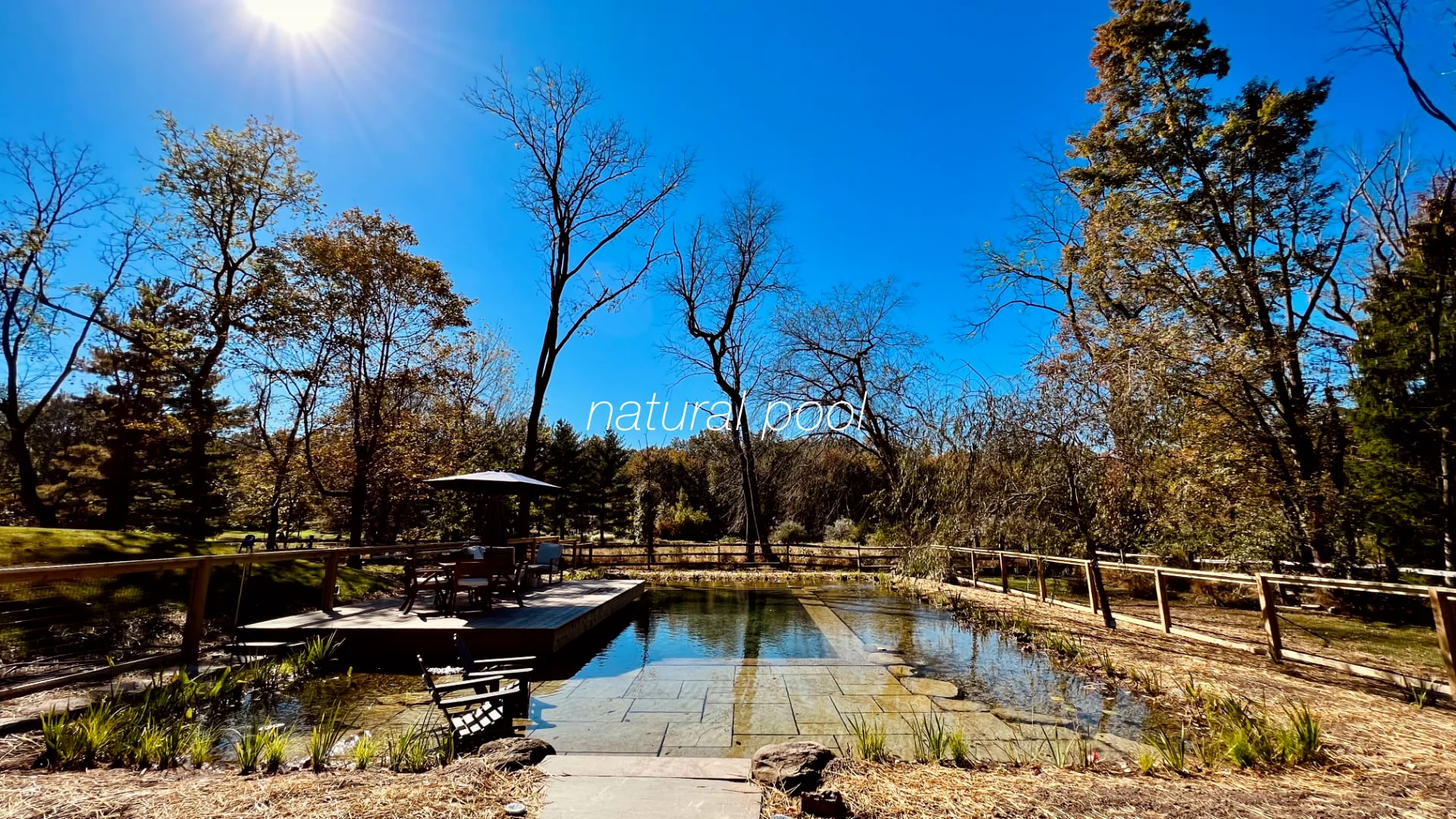 Natural Pool on Vimeo