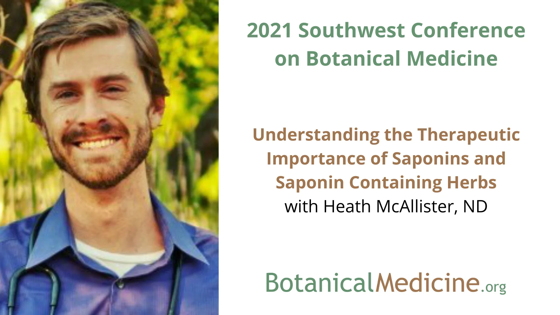 Watch Understanding the Therapeutic Importance of Saponins and Saponin ...