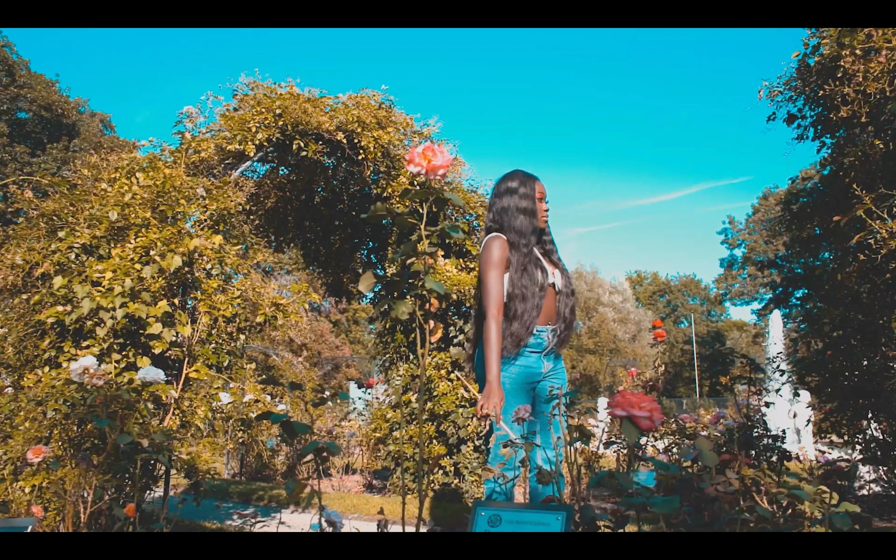 Music Video on Vimeo