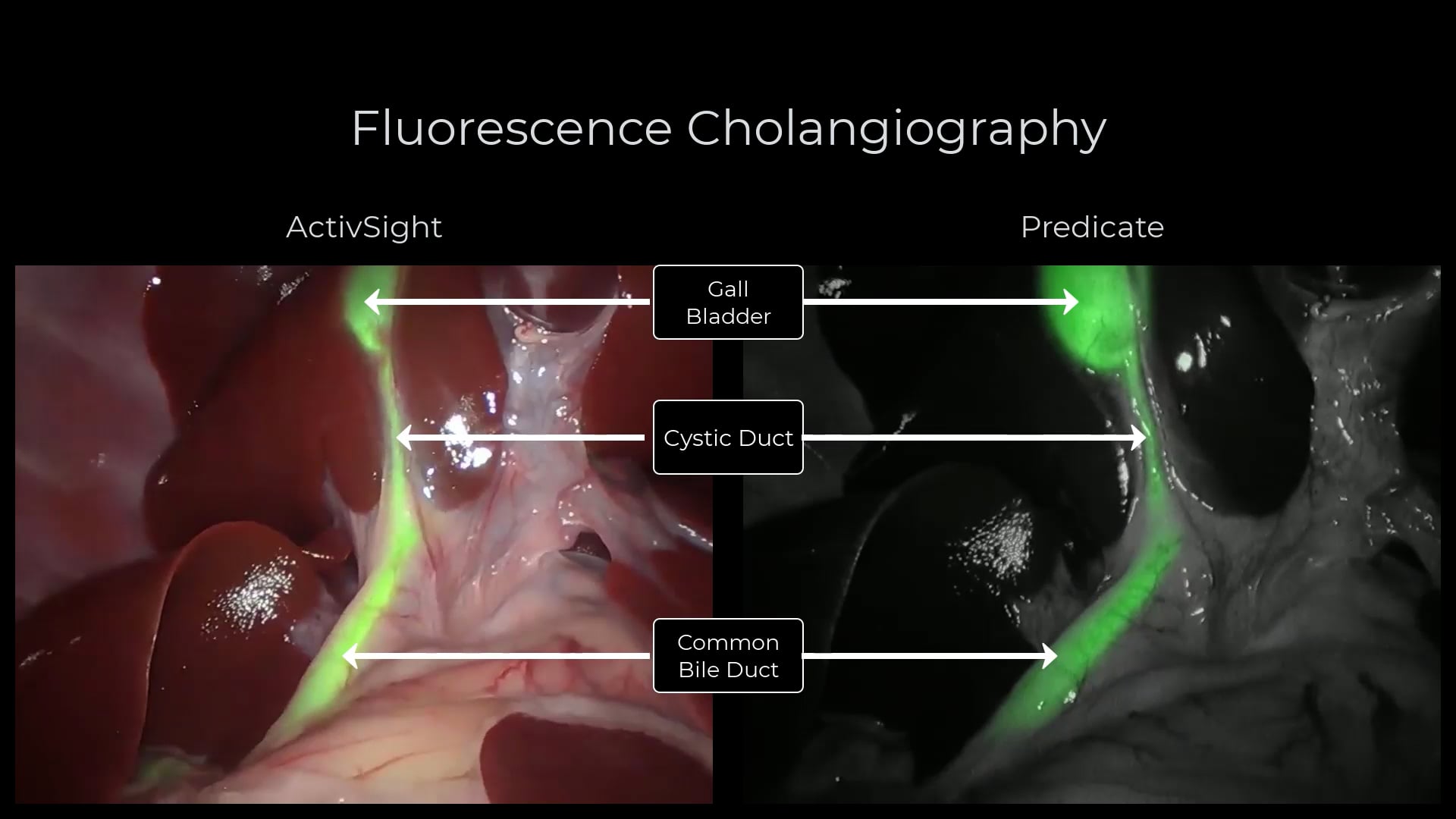 ActivSight-Bile Duct Visualization - ActivICG Equivalence to Predicate ...