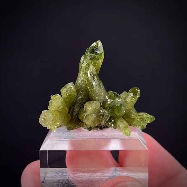 Vesuvianite - VE01 - Jeffrey Quarry - Canada Mineral Specimen