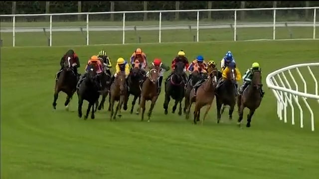 I Am Invincible - Stallion | Breednet